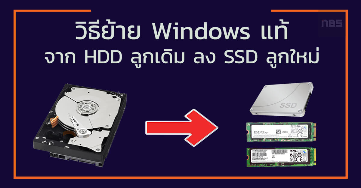 How to – วิธีย้าย Windows แท้ จาก HDD ลูกเดิม ลงบน SSD ลูกใหม่ ต้องทำ ...