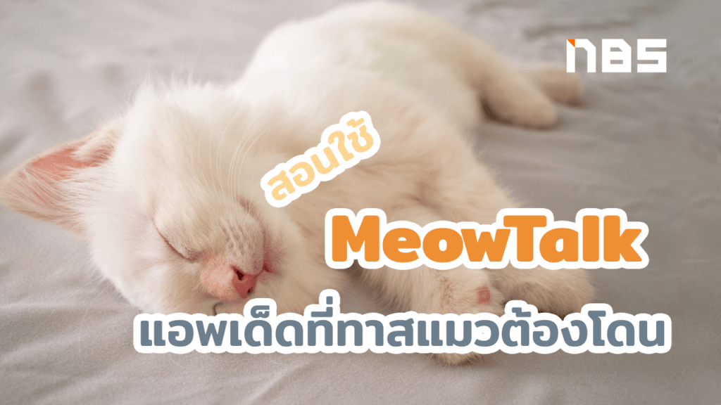 สอนใช้แอพแปลภาษาแมว MeowTalk ที่ทาสแมวต้องโดน อัพเดต 2021