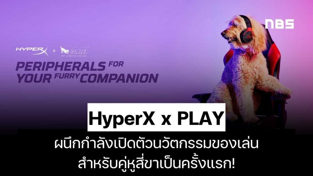 HyperX x PLAY ผนึกกำลังเปิดตัวนวัตกรรมของเล่นสำหรับคู่หูสี่ขาเป็นครั้งแรก! - Notebookspec